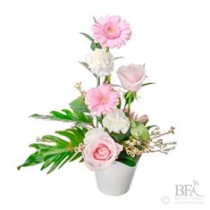 Online Shop - The Henley Florist Henley-on-Thames