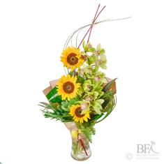 Exotic Sun Rise The Henley Florist Henley-on-Thames